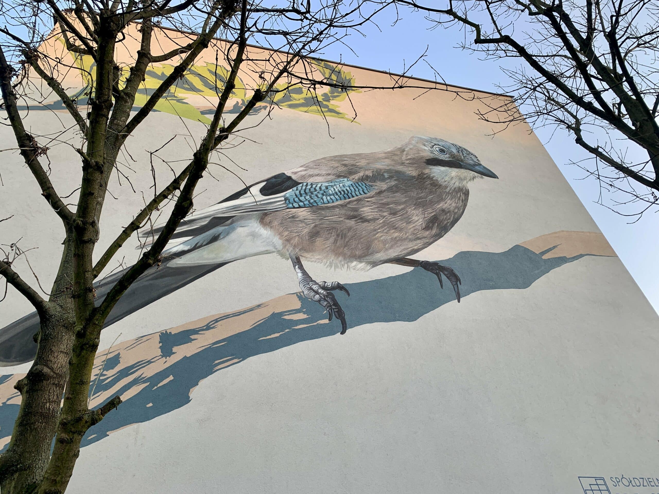 Bird Murals by Wojciech Rokosz Krakow - Urban art gallery Bird Murals by Wojciech Rokosz Krakow - Urban art gallery